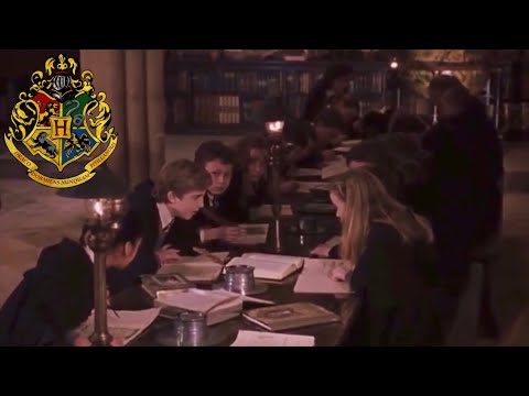 Harry Potter: “Hufflepuffs Talk About Harry” (Deleted / Extended Scenes)