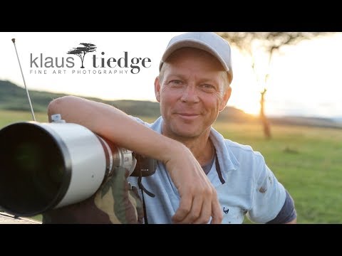 Pride of Africa - Fine Art Wildlife Photography - Klaus Tiedge