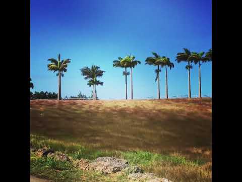 Lion Castle, Barbados