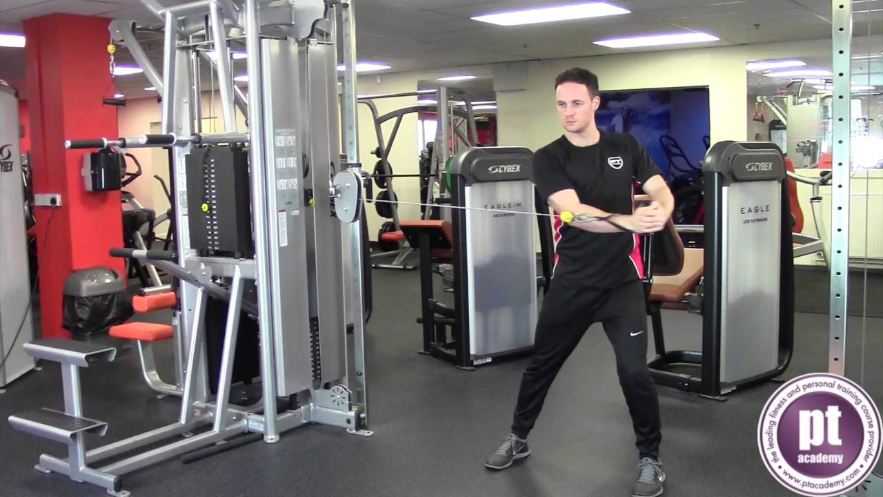 Standing Cable Russian Twist - Personal Training: Pt Academy