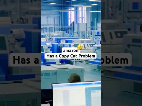How Cheap Chinese Manufacturers Take Over Amazon!