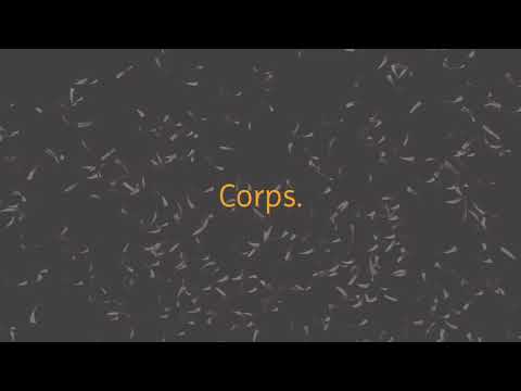 Correct Pronunciation Of Corps | 2020 |