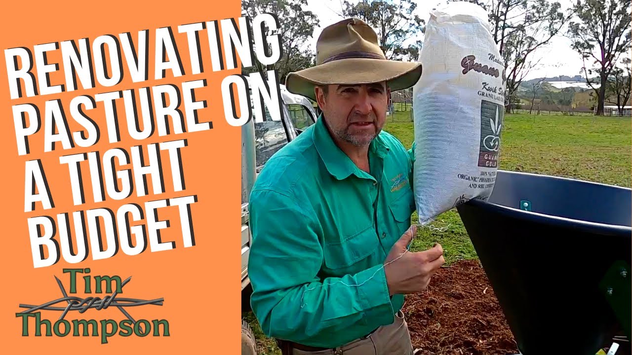 Low Budget Small Pasture Renovation