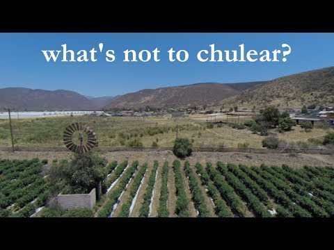 Chulear | Mexico Spanish | What does it mean?