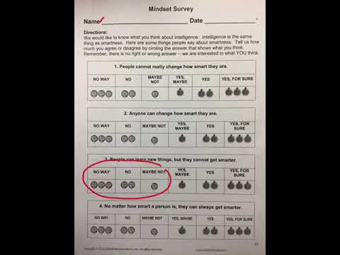 Mindset Survey