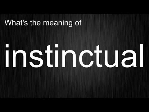 How to Say "instinctual" Like a Boss - Pronunciation and Meaning Tips