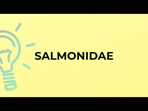 What is the meaning of the word SALMONIDAE?