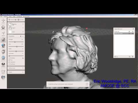 0125D - The Additive Guru, using Meshmixer to edit 3D selfie scans