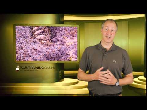 Wijntraining Online algemene informatie.