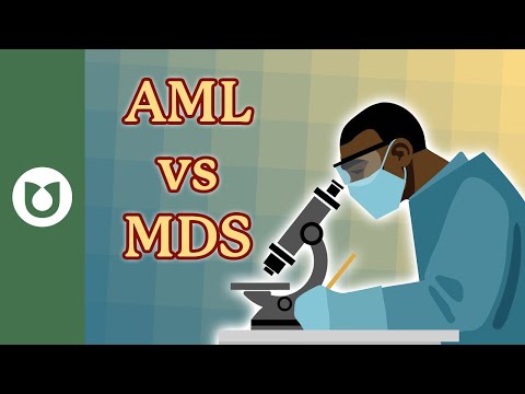 How do you distinguish between a diagnosis of MDS and AML? #AML