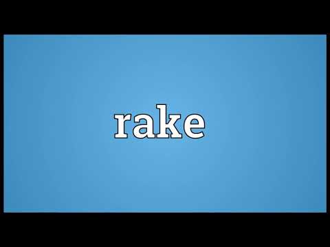 rake meaning in English