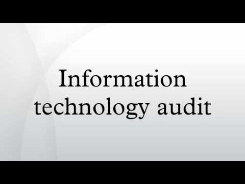 Information technology audit