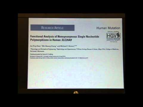 Human Mutation - AnPing Chen and Michael Romero