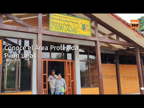 Actualidad | Visión 360