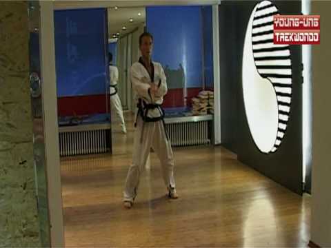 Young-Ung Taekwondo - Dr. Andreas Held, Systemleiter