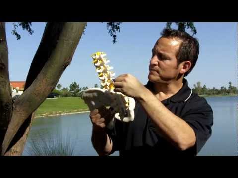 Epidural Steroid Injections for Spinal Stenosis (602) 507-6550