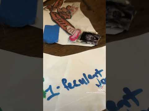 My Dad’s the shit “Feculent vomiting-#1; definition of a defection”