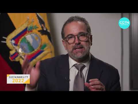 What are the pillars of sustainable development?