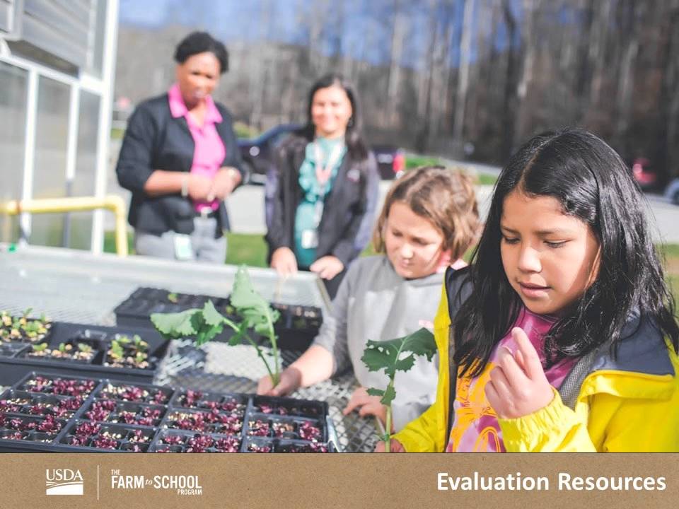 Overview of Reporting and Evaluation