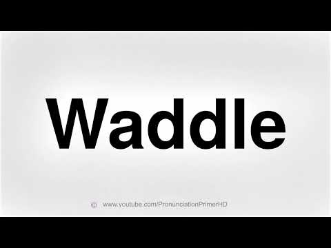 HOW TO PRONOUNCE WADDLE
