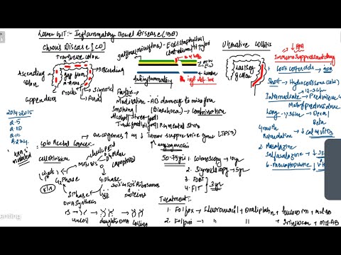 DHA Pharmacist lecture lower GIT Inflammatory bowel disease