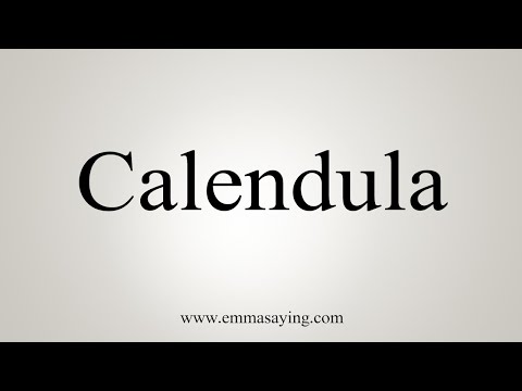 How To Say Calendula
