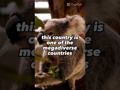 Can you? #geography #maps #europe #asia #countries #country #map #africa #america #flag #flags
