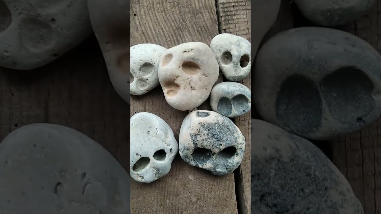 The Aliens are already here! #seastone #alien #beachcombing #UFO #nature #seaglass #beachfinds