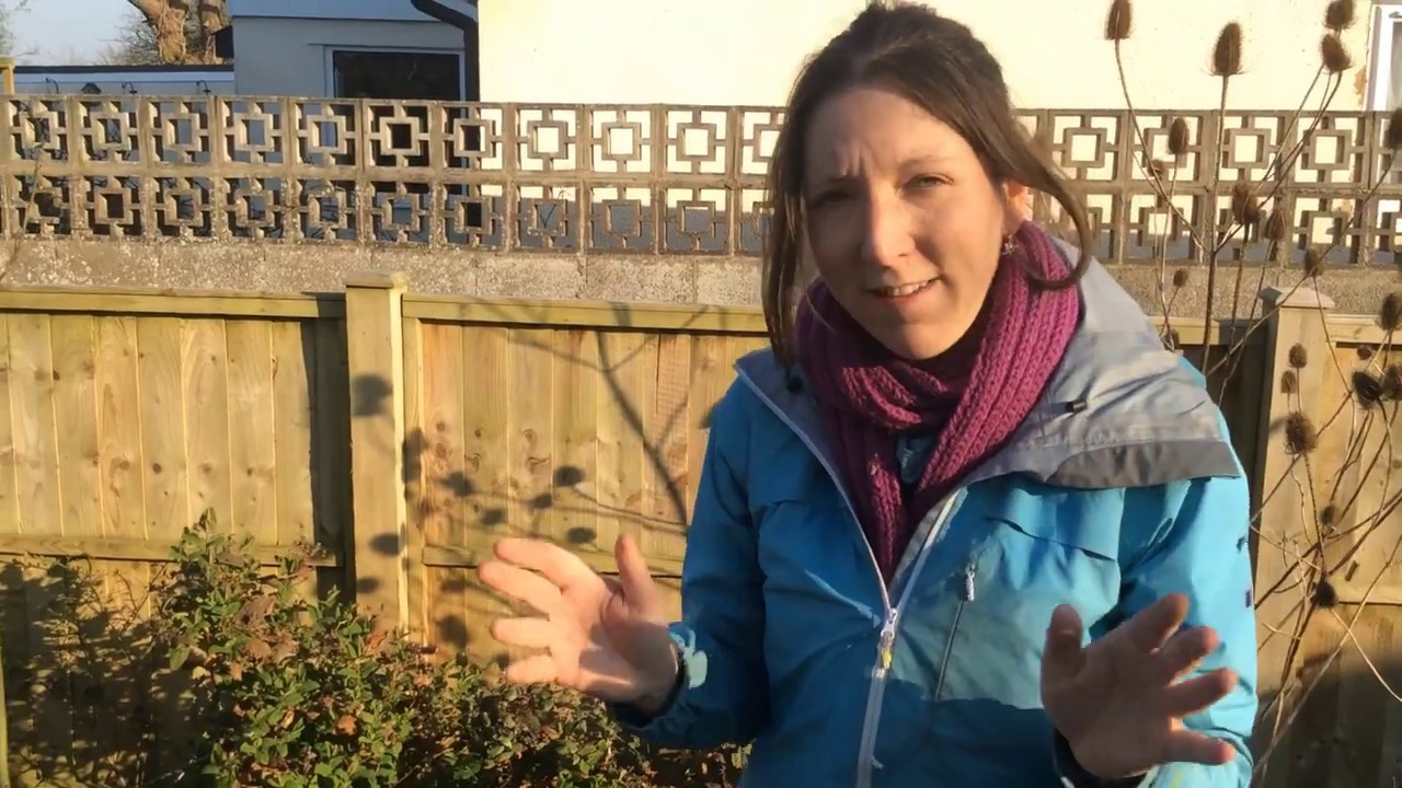 2020 Nature Explorers: Hedgehogs