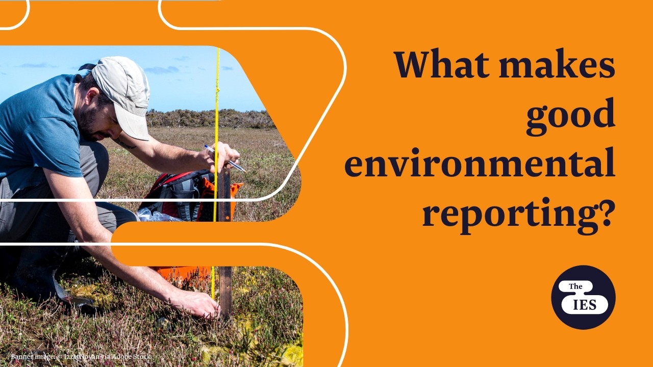 What makes good environmental reporting?