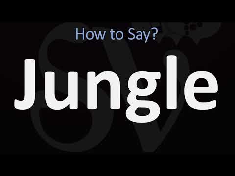 How to Pronounce Jungle? (CORRECTLY)