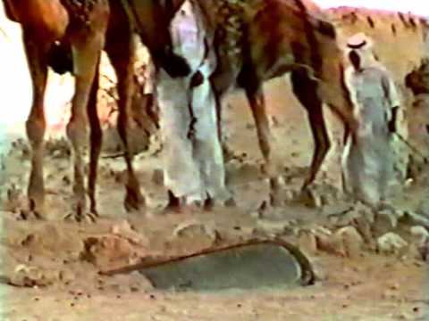 Zabytye Civilizacii 3 serija iz 8 Mesopotamija Vozvrashenie v raj 1995 DivX VHSRip