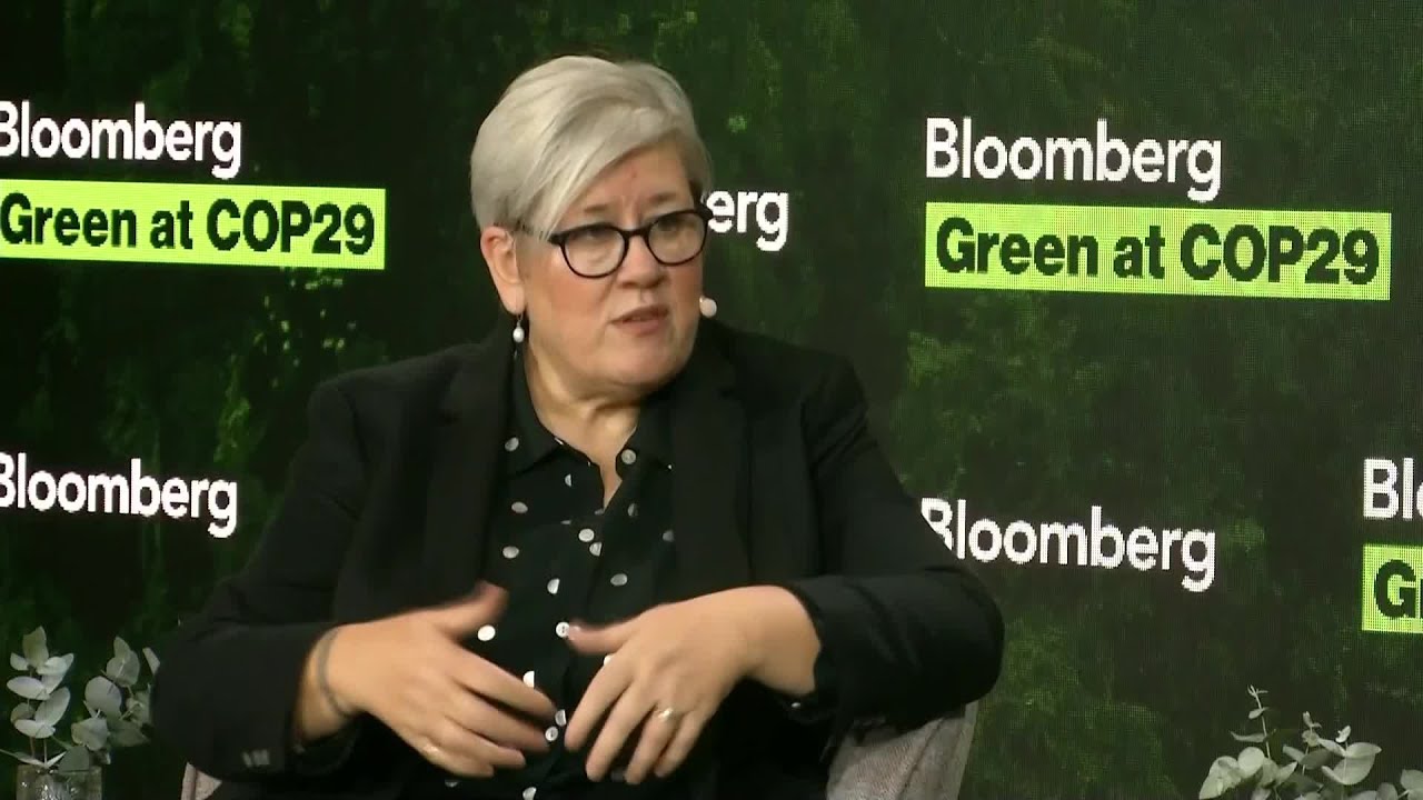 COP29: UK's Kyte on Climate Finance Negotiations