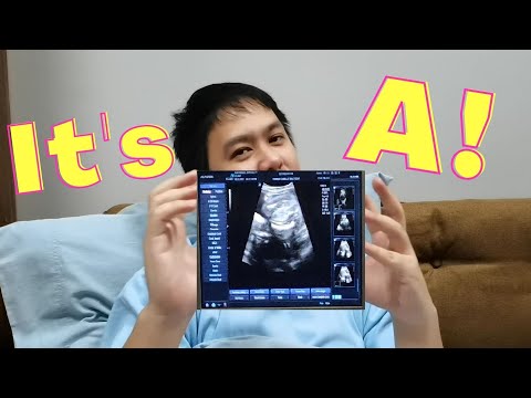 Congenital Anomaly Scan | Bfam