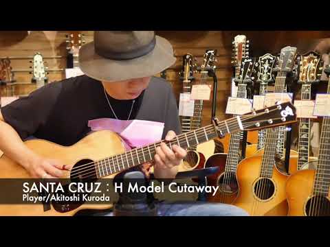 SANTA CRUZ H Model Cutaway | Reverb