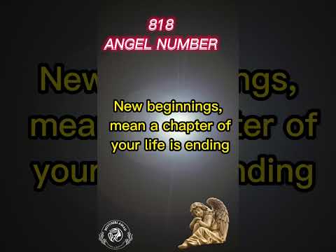 818 ANGEL NUMBER IS OPEN MIRACLE FOR YOU TODAY ~ Angel Signs For Your ! Listen👼🕊️🙏