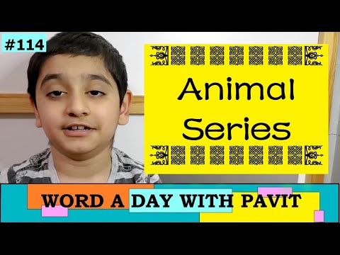Metamorphosis - Word a day with Pavit #animals