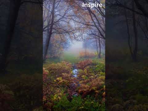 Alan Watts -- DID THIS EVER HAPPEN TO YOU? (Shorts of Wisdom)
