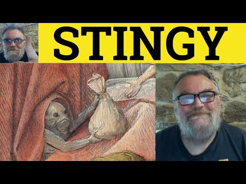 🔵 Stingy Meaning - Stingy Examples - Stingy Defined - Describing People - Stingy