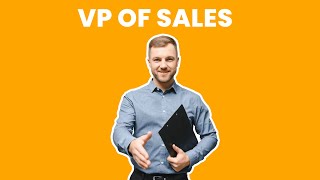 What is the role of a VP of Sales