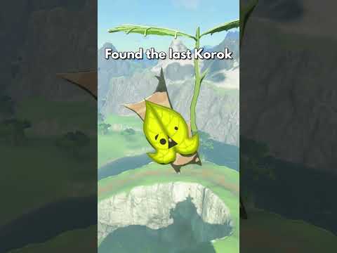 is there a secret reward for ALL 1000 Koroks in Tears of the Kingdom?
