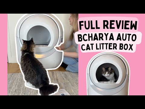 Full review: BCHARYA auto litter box vs litter robot 4! (setup + cat reaction 🐾)