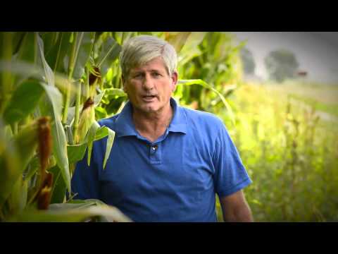 Fulvic Bloom Investor