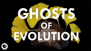Learn English through Video Ghosts of Evolution.