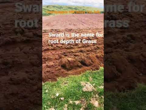Cairnpapple Hill - ploughing 1st July 2022