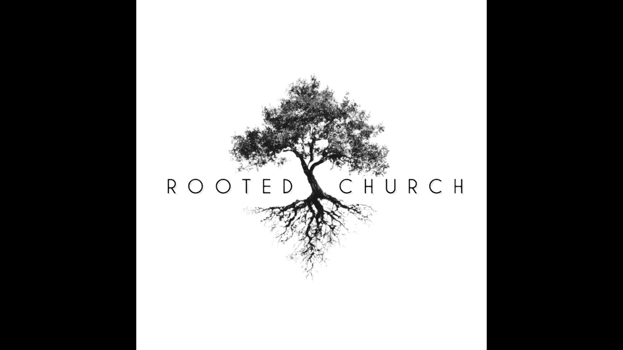 Rooted Launch Promo