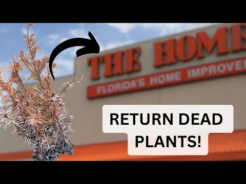 Return DEAD Plants to Home Depot? | Plant and Shrub Exchange and Return Policy | #garden #homedepot