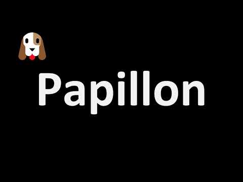 How to Pronounce Papillon? (Dog Breed)
