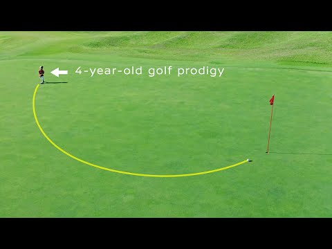 Nissan's Self-Driving Golf Balls Always Find the Hole