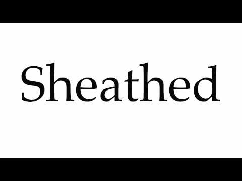 How to Pronounce Sheathed